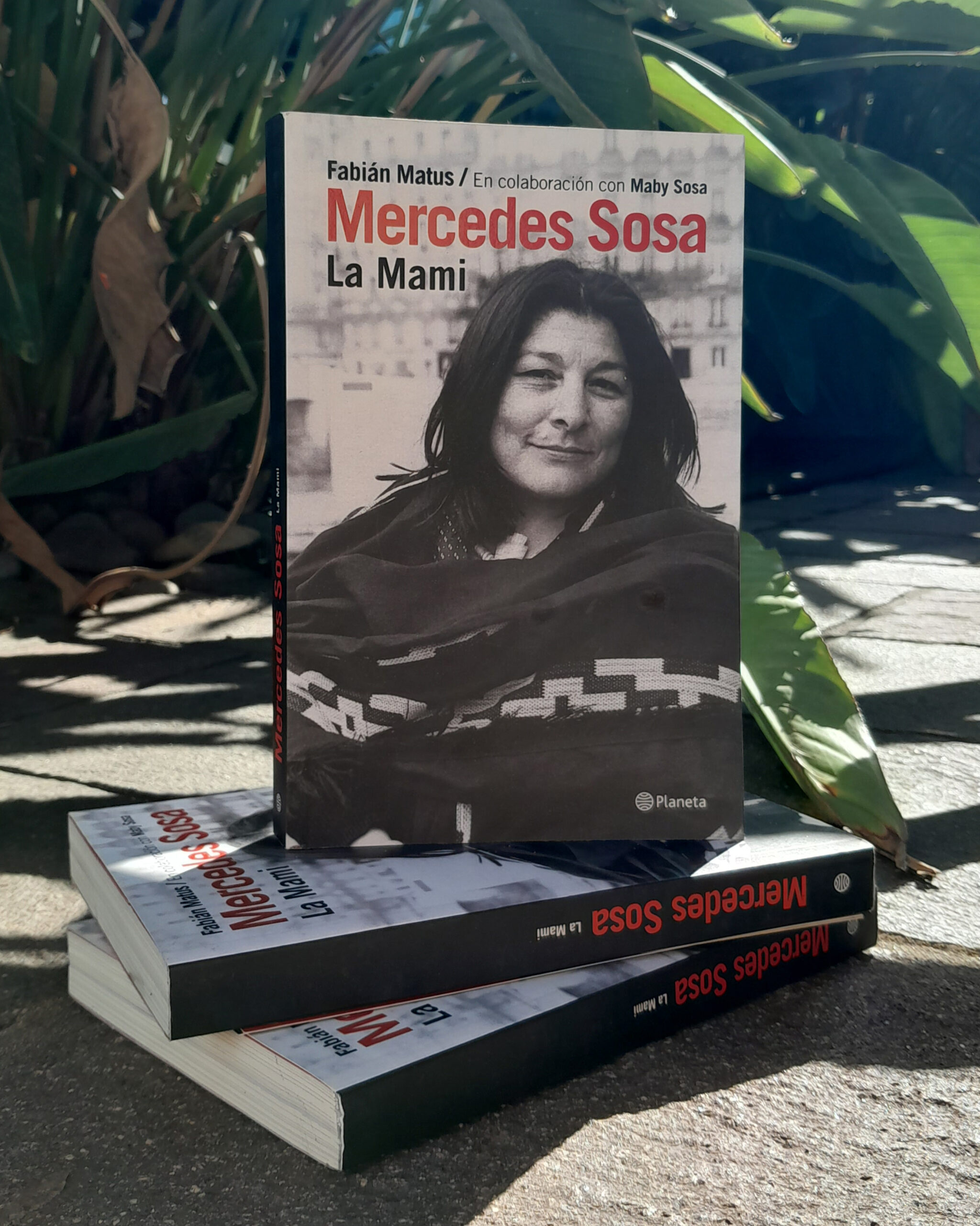 Fundación Mercedes Sosa – Preservar y difundir el patrimonio artístico ...